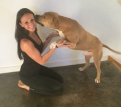 sam - The K9 Company