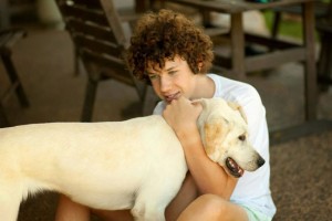 sam_dog - The K9 Company