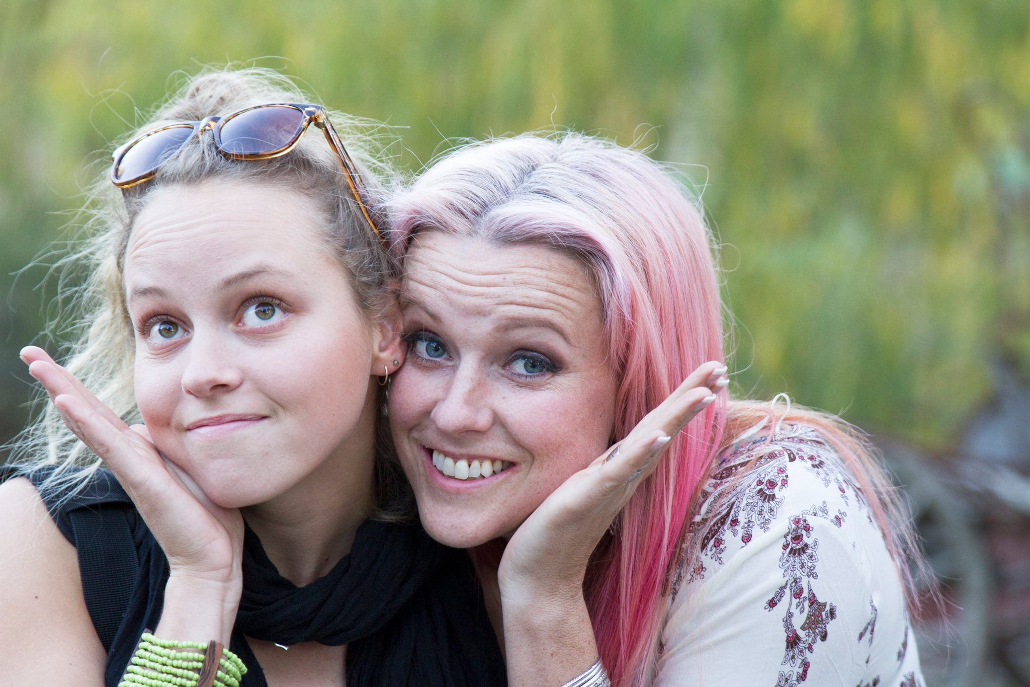 Dolsy - The K9 Company